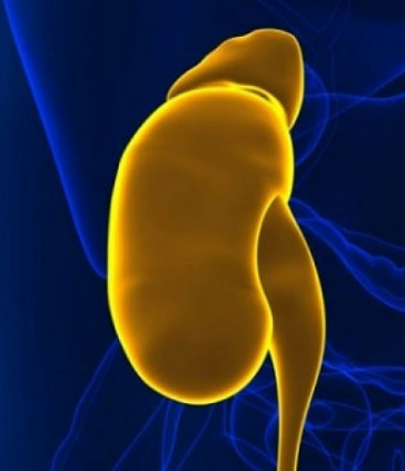 Live Kidney Donor Diary #1 – Promoting Teacher Education